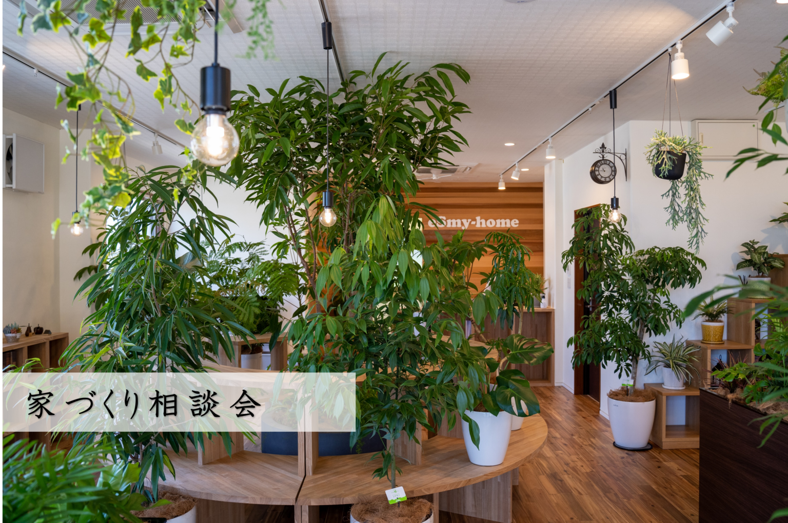 【開催中！】家づくり相談会(11月3日～11月30日) - eSmy-home株式会社