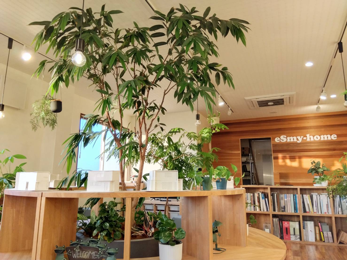 打合せ中も癒してくれるフィカス・アムステルダムのあるスタジオ - eSmy-home株式会社